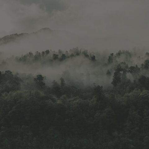 Sermons | New Creation